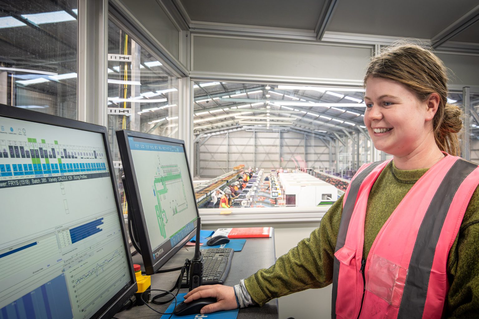 Orchard Work | Seasonal Fruit Picking & Packing | Motueka Jobs