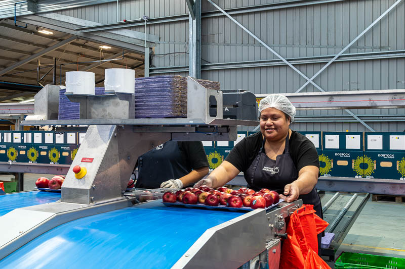 Our Innovative Packhouse | Fairfield Orchards